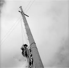 Our history - Ausgrid